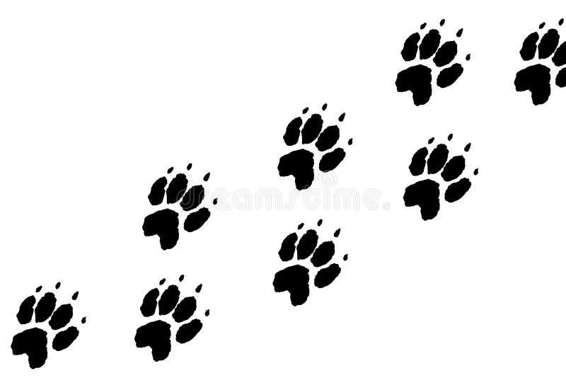 Zampe, Orme, Tracce Della Siluetta Del Gatto, Segno Del Cane ...