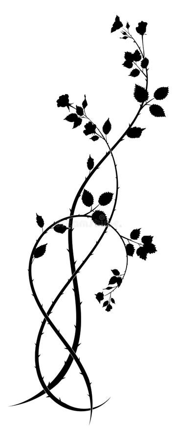 Ornament Element Rose Flowering Climbing Plant New Stock Vector ...