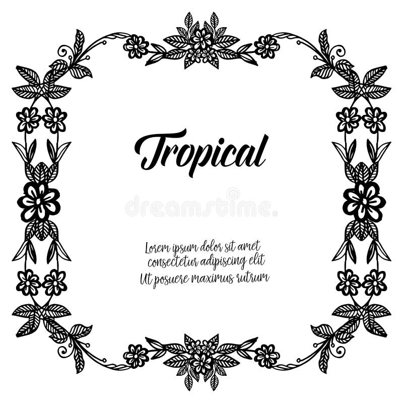 Ornament of Tropical Cards, with Elegant Flower Frame, Isolated on a ...