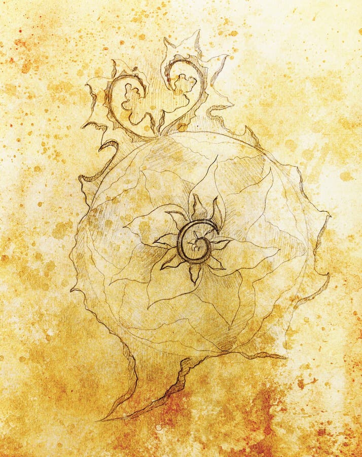 Ornamental Drawing. Original Hand Draw and Computer Collage. Color ...