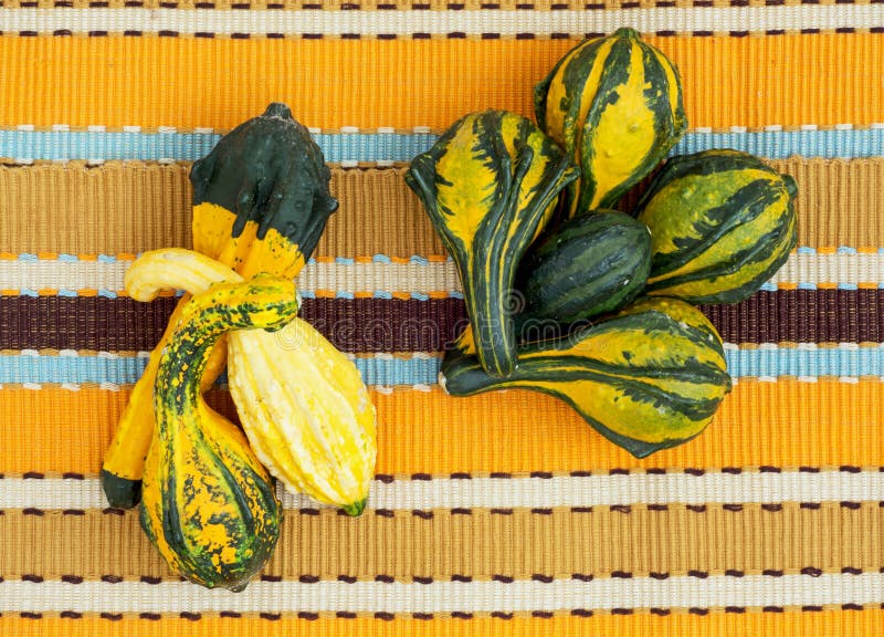 Ornamental Gourds on the Striped Tablecloth Stock Photo - Image of ...