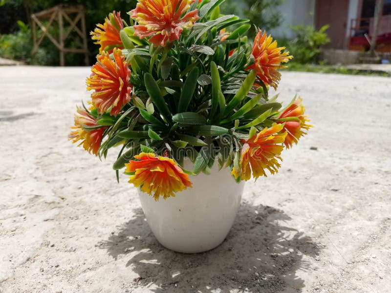This Ornamental Plant Made of Plastic is Very Unique Stock Image ...