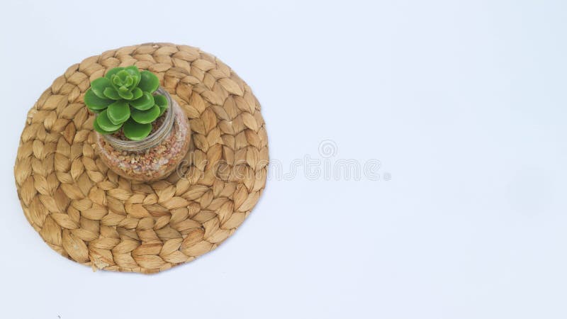 Ornamental Plants on a Rattan Woven Circle Base Stock Photo - Image of ...