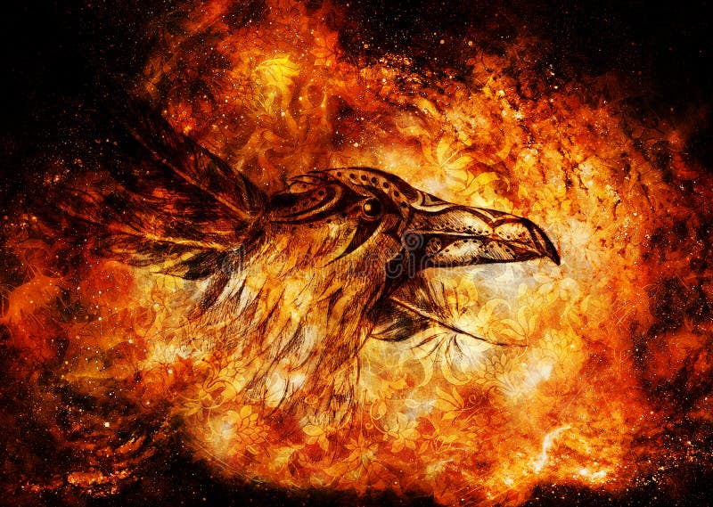 Ornamental Raven Drawing with Feathers in Cosmic Space. Stock Image ...