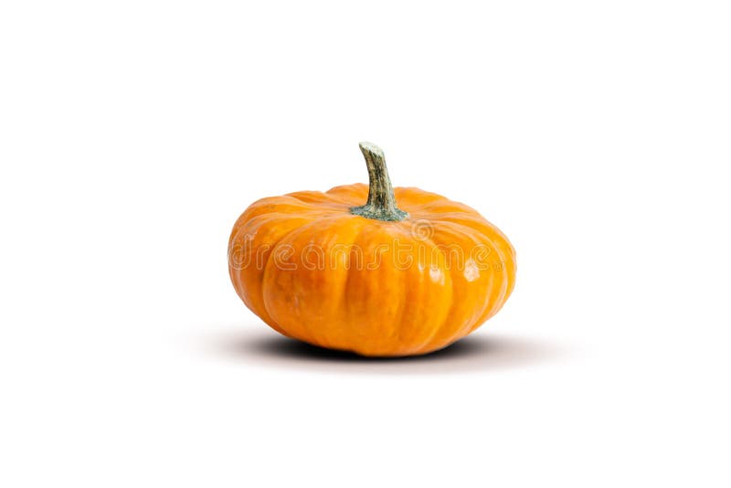 955 Bumpy Squash Photos - Free & Royalty-Free Stock Photos from Dreamstime