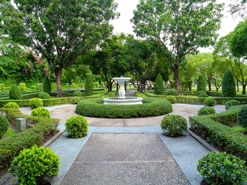 Ornamental trees stock image. Image of nature, leaf, outdoor - 45852941