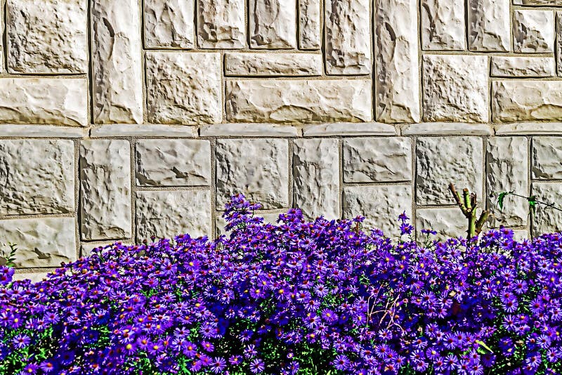 Ornamental wall 13 stock image. Image of material, decor - 50949155