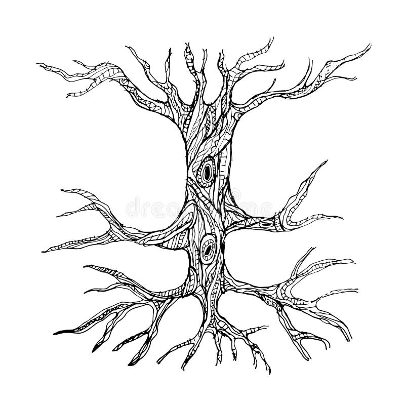 Ornate Bare Tree Trunk with Roots Stock Vector - Illustration of hand ...