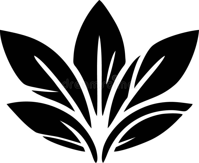 Ornate Black and White Leaf so Elegant Stock Vector - Illustration of ...