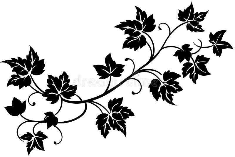 Ornate Black and White Vine with Leaves Design Stock Vector ...