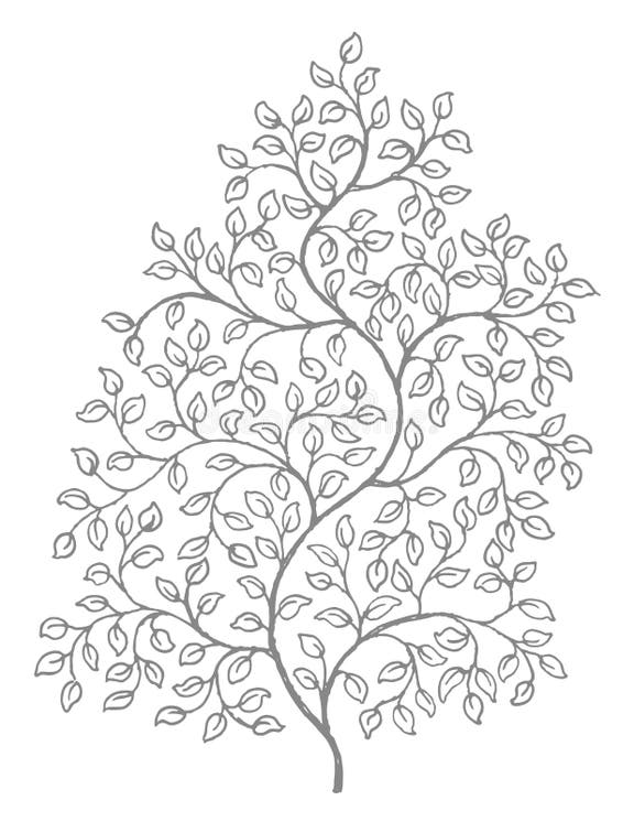 Elegant Curly Vines Illustration Stock Illustrations – 97 Elegant Curly ...