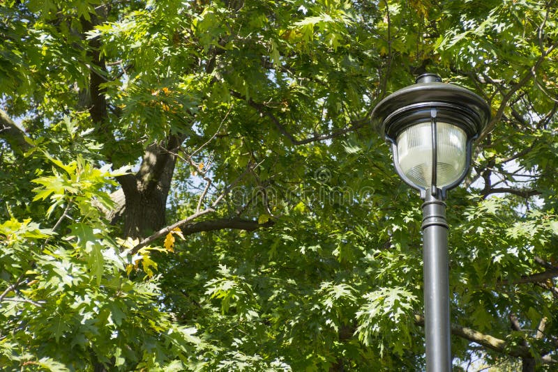 Ornate Lamp Post stock image. Image of culture, cityscape - 78943913