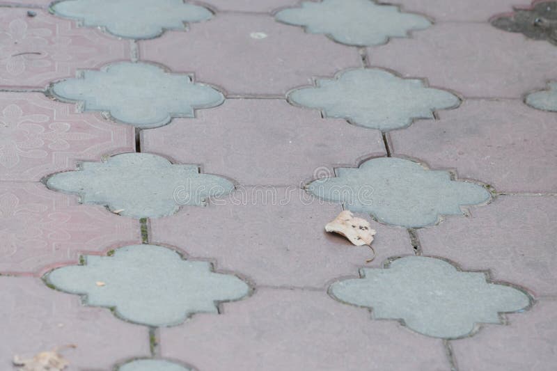 Ornate Pavement Design Highlighted by a Single Leaf Stock Photo - Image ...