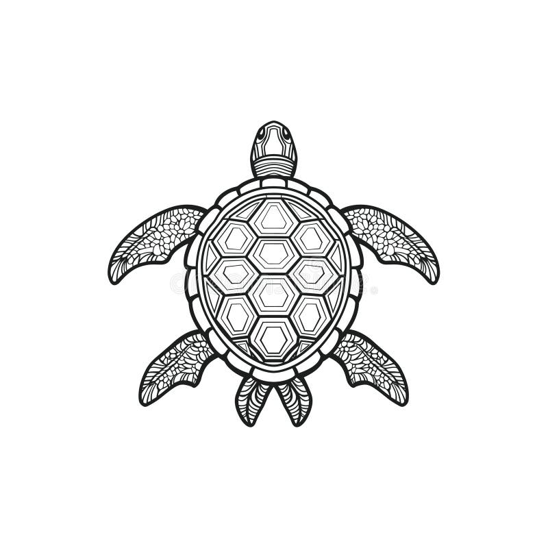 Sea Turtle Line Art, Sea Turtle Vector, Sea Turtle Illustration, Sea ...