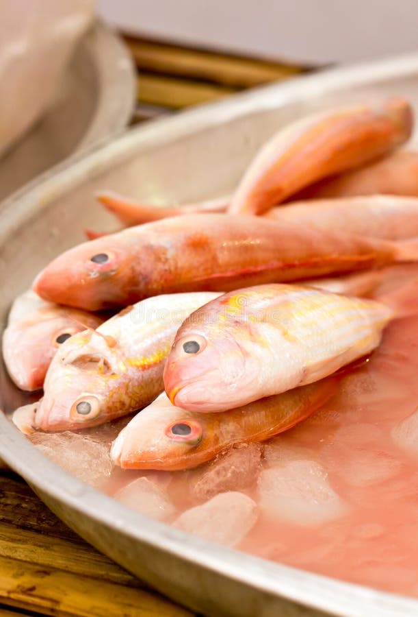 Fresh Ornate Threadfin Bream Fish On Ice At Fish Market Stock Photo ...