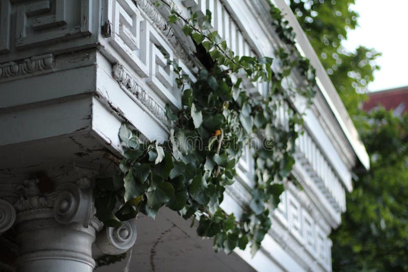 Column Greek Vines Stock Photos - Free & Royalty-Free Stock Photos from ...