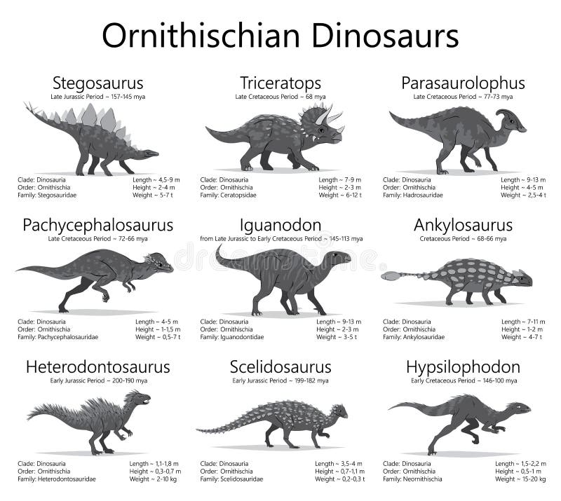 Ornithischian Dinosaurs. Monochrome Vector Illustration of Dinosaurs ...