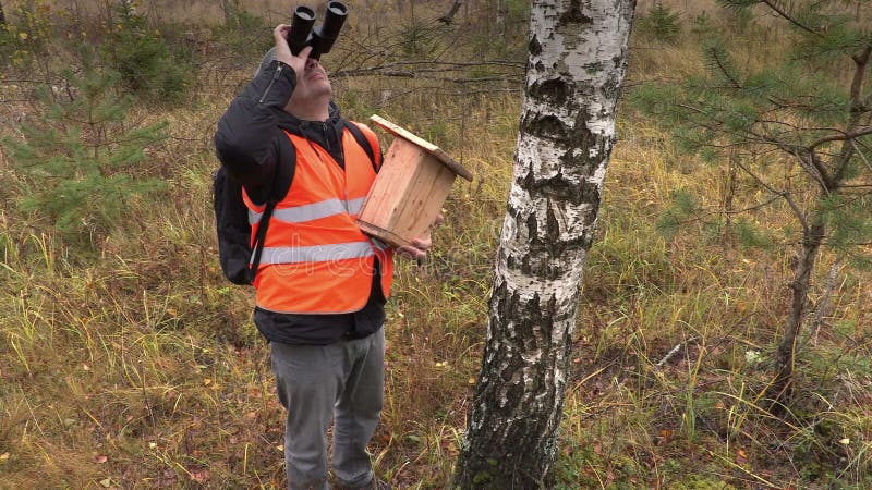 Ornithologist with Binoculars Watching Birds Stock Footage - Video of ...