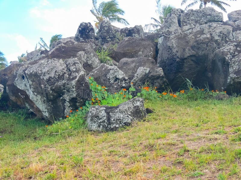 Orongo, the Relevance of Easter Island Stock Photo - Image of volcanic ...