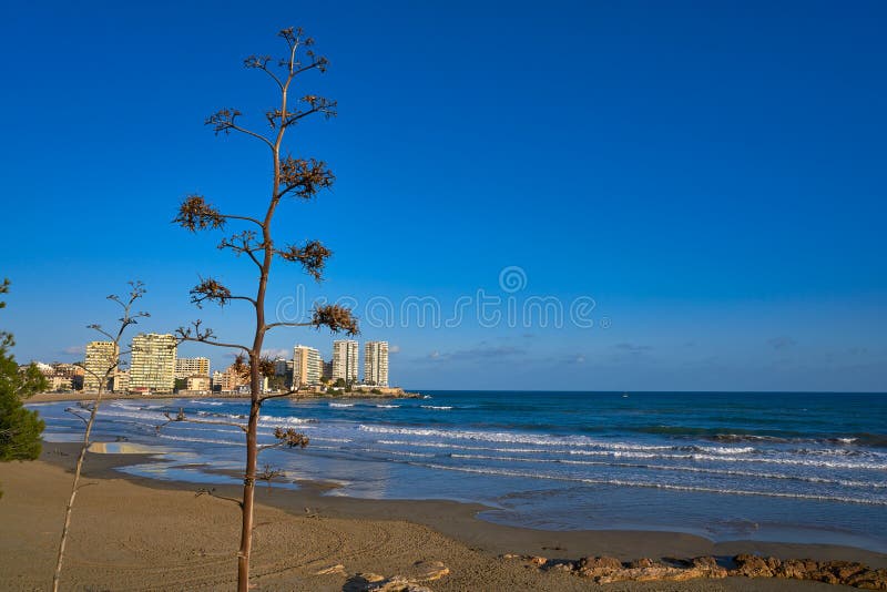 Oropesa Del Mar Castellon Beach Gardens Tiles Mosaic Stock Photo ...