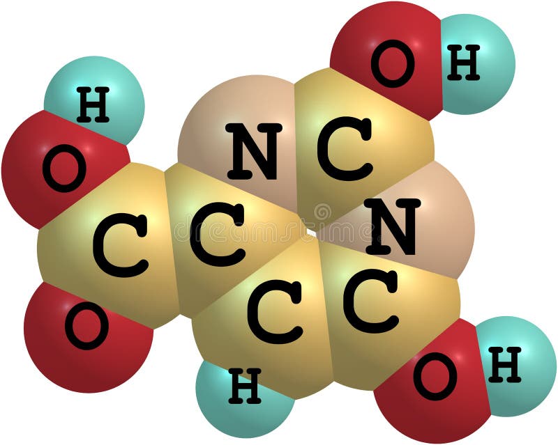 Orotic Acid Molecular Structure Isolated on White Stock Illustration ...