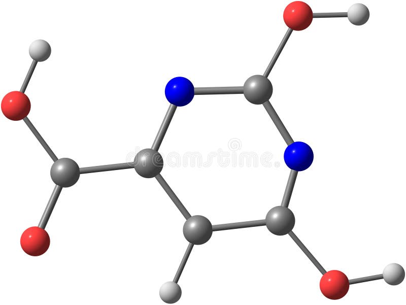 Orotic Acid Molecule. it is a Pyrimidinedione and a Carboxylic Acid ...