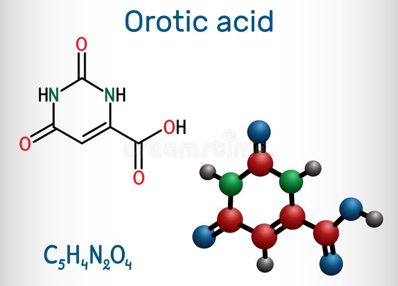 Orotic Acid Molecule. it is a Pyrimidinedione and a Carboxylic Acid ...