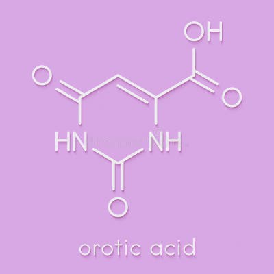 Orotic Acid Molecule. Skeletal Formula. Stock Illustration ...