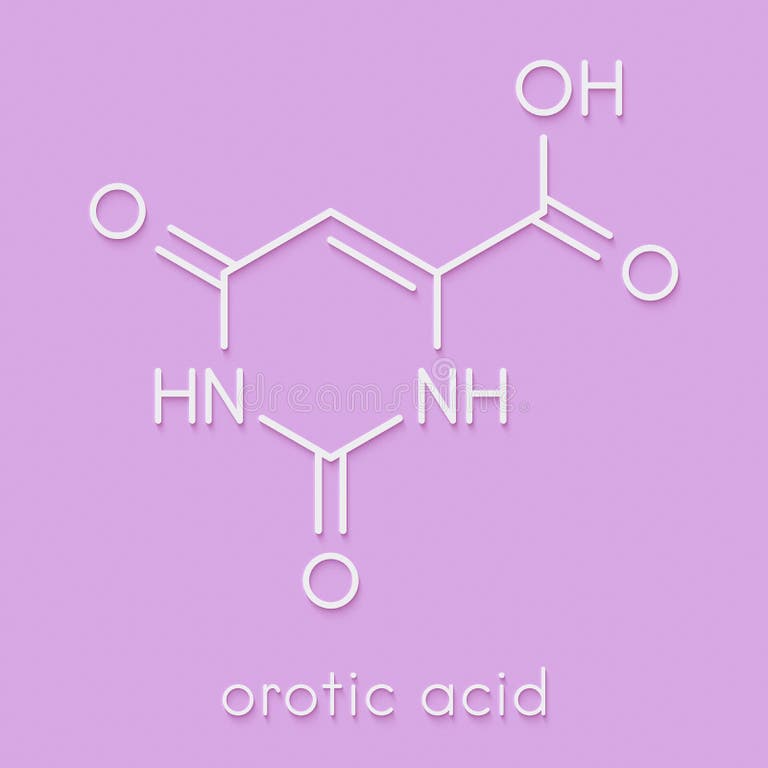 Orotic Acid Molecule. Skeletal Formula. Stock Illustration ...