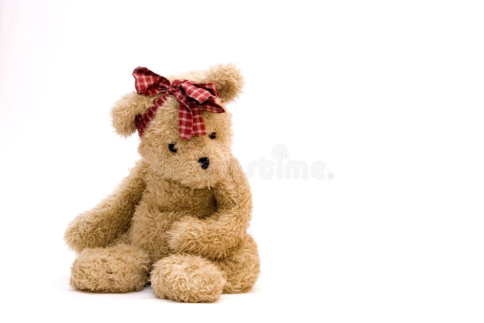 Orsetto di peluche immagine stock. Immagine di animale - 2908217