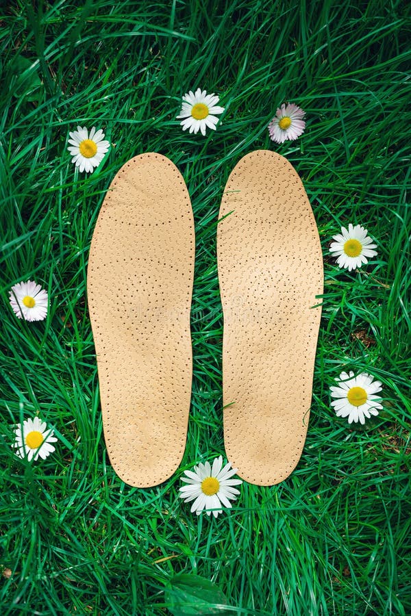Orthopedic Insoles for Shoes on a Background of Green Grass Stock Photo ...