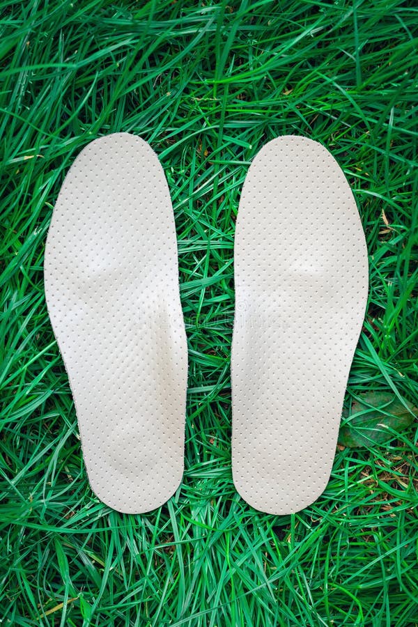 Orthopedic Insoles for Shoes on a Background of Green Grass Stock Photo ...