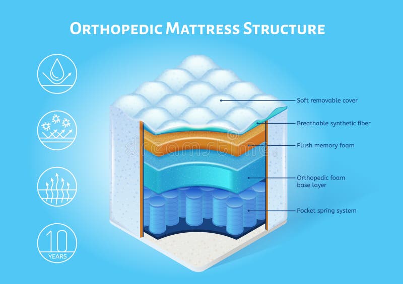 Orthopedic Mattress Structure Vector Scheme Stock Illustration ...