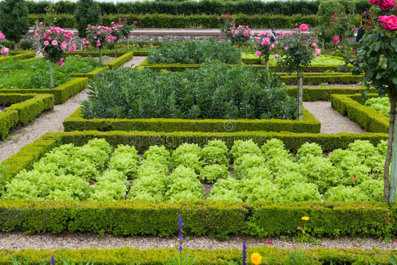 Orto Domestico in Chateau De Villandry. Fotografia Stock - Immagine di ...