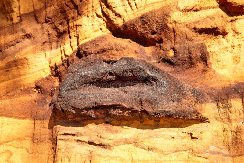 Ortstein in a Podzol or Spodosol Stock Photo - Image of forming ...