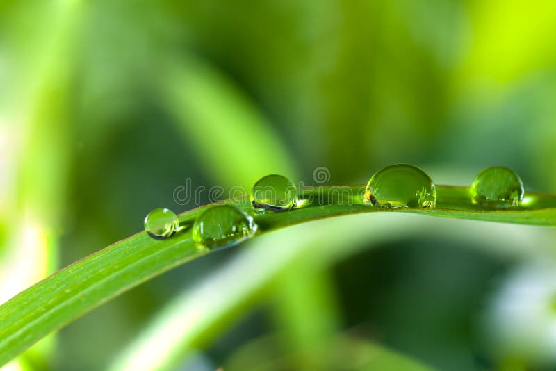 Orvalha imagem de stock. Imagem de nave, brilhante, lifestyle - 32642155