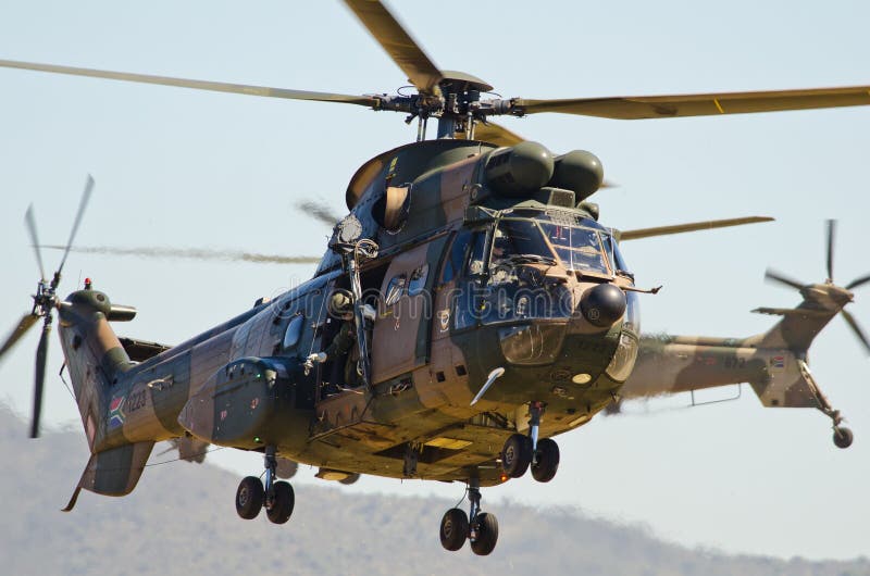 Órice con cola de Rooivalk imagen de archivo editorial. Imagen de cielo ...