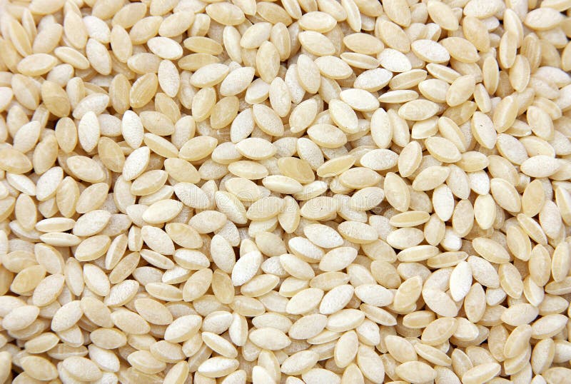 Orzo stock image. Image of pasta, semolina, grains, italian - 11745323