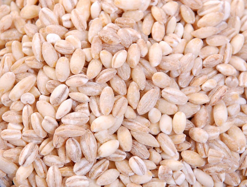 Orzo perlato immagine stock. Immagine di estratto, seme - 11920165