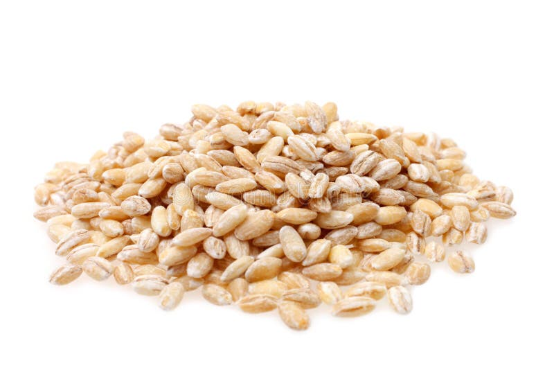 Orzo perlato immagine stock. Immagine di germinazione - 54393341