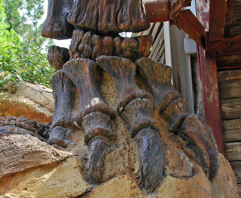 Os de dinosaur photo stock. Image du orteils, pointu, animal - 4802