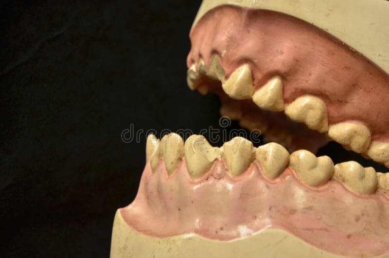 Porco Feio Grande Com Dentes Ruins Imagem de Stock - Imagem de ...