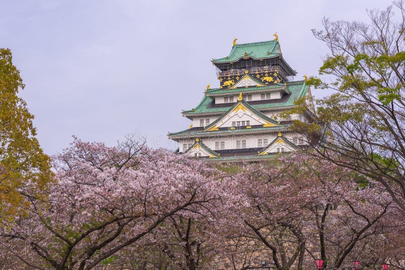 Osaka Castle with Cherry Blossom. Stock Photo - Image of branch, leaf ...