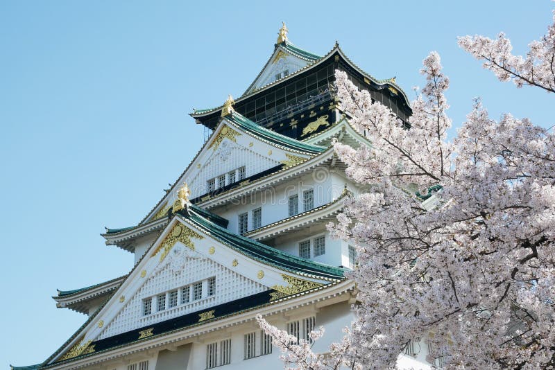 Osaka Castle with Cherry Blossom Trees Stock Photo - Image of scenery ...