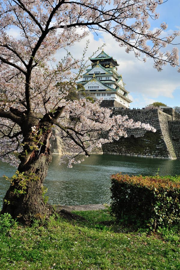 Osaka Castle with the Cherry Blossoms Stock Image - Image of hillside ...