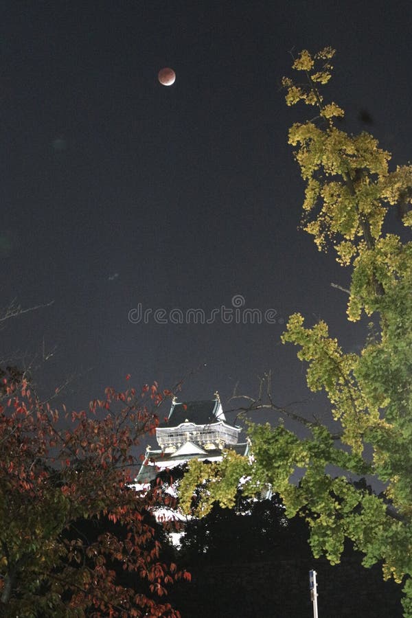 Osaka Castle stock photo. Image of japan, osaka, castle - 240600640