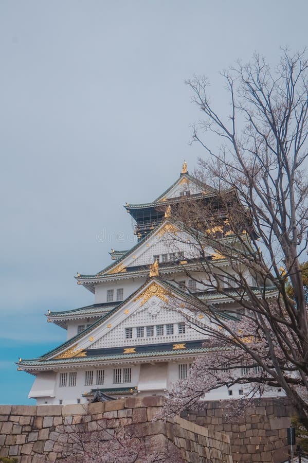 Osaka Castle in Spring with Cherry Blossom Starting To Bloom Editorial ...
