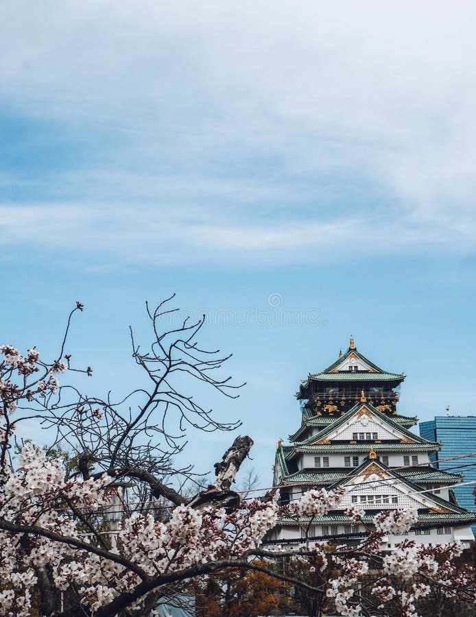 Osaka Castle in Spring with Cherry Blossom Starting To Bloom Editorial ...