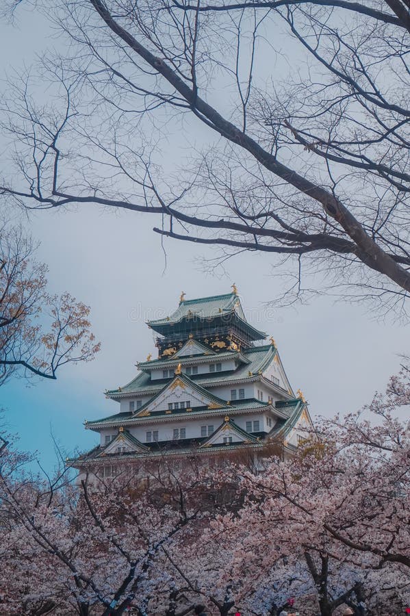 Osaka Castle in Spring with Cherry Blossom Starting To Bloom Editorial ...