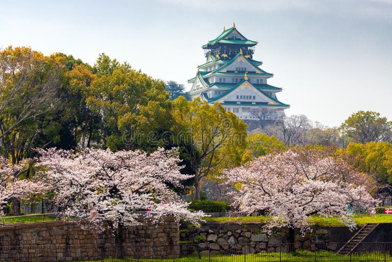 The Osaka castle at spring stock photo. Image of japan - 129163618